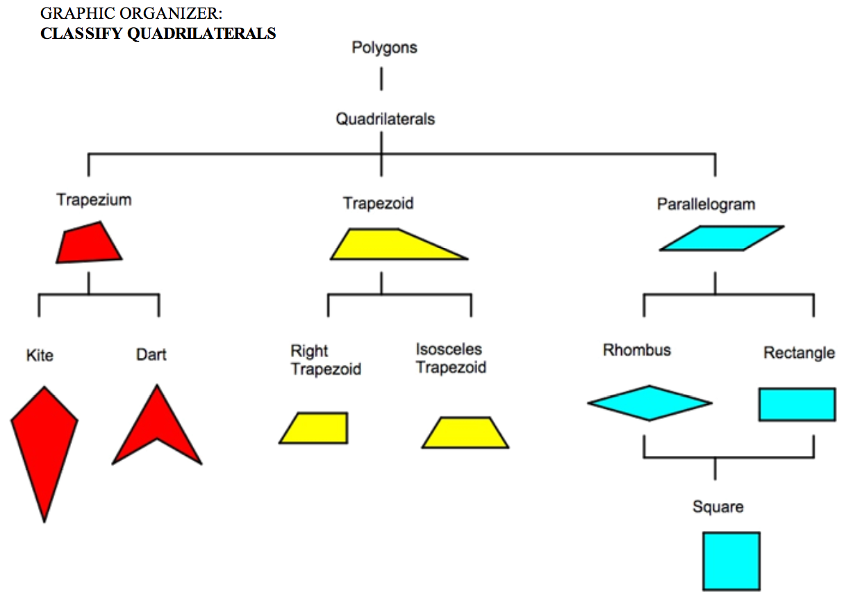Classifying Quadrilaterals Graphic Organizer